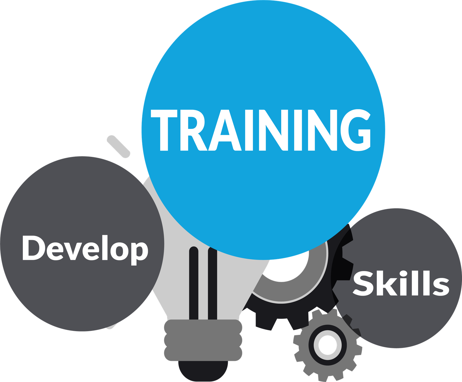 Trainees Management System | R&A Technologies